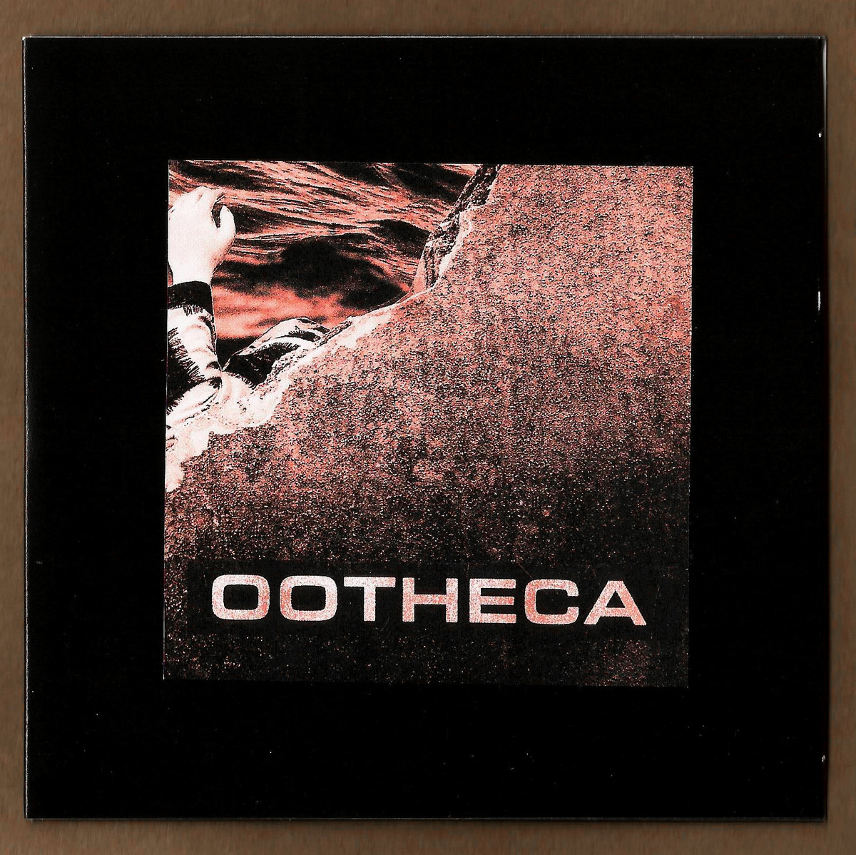OOTHECA demo 2 | OOTHECA