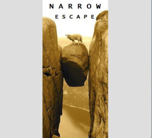 Music | Narrow Escape