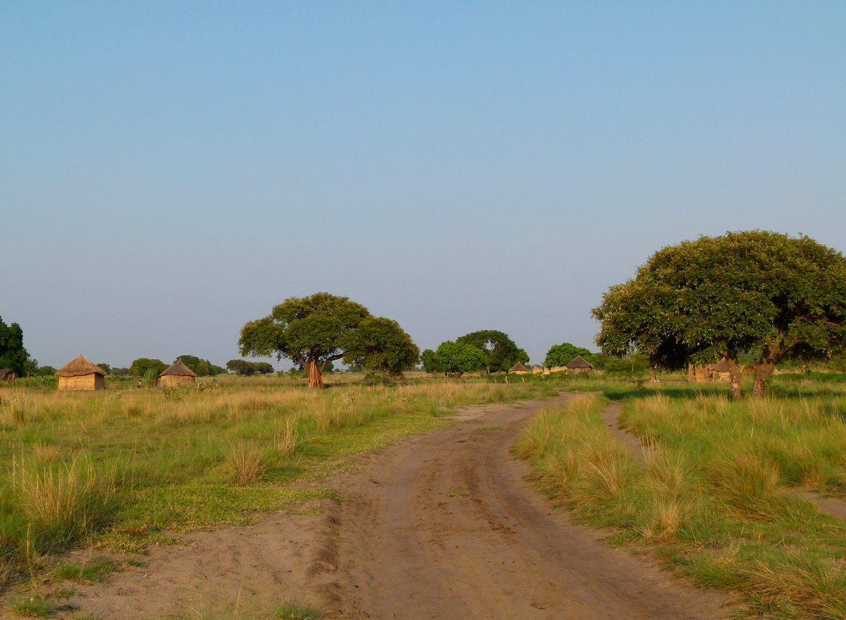 Music from Barotseland | various artists | SWP Records