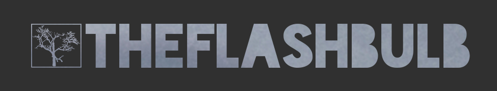 The Flashbulb