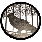 The Villager's Companion | califone / tim rutili / red red meat