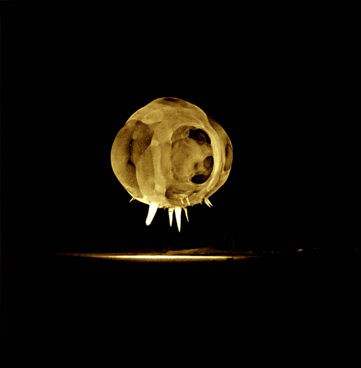 Complications | In Extremis