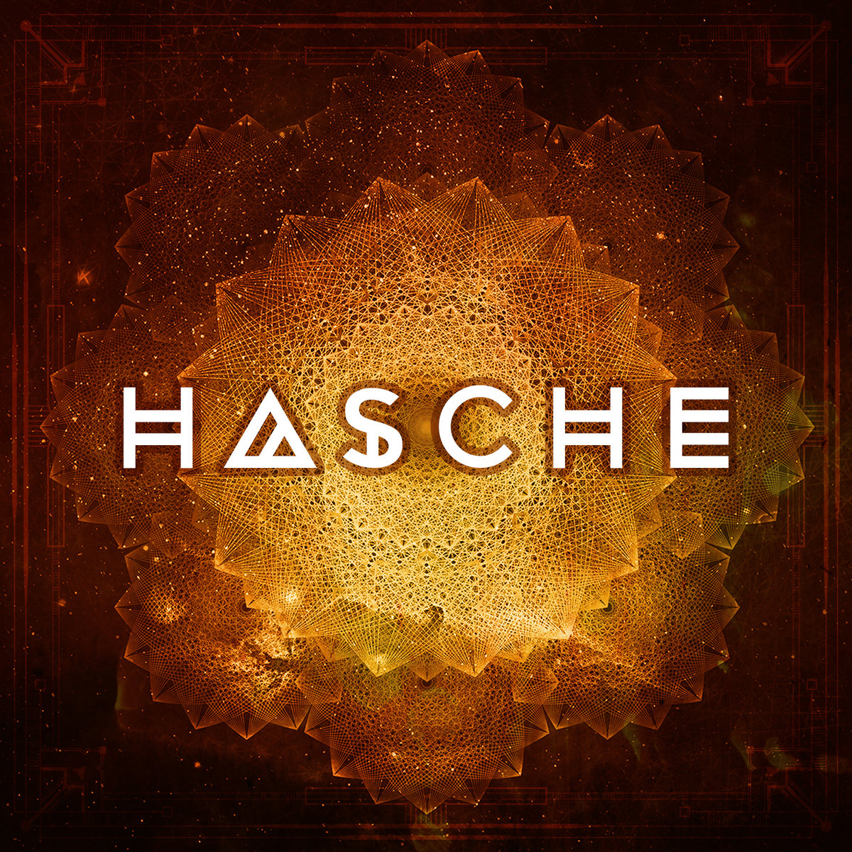 Power of Piwo | Hasche