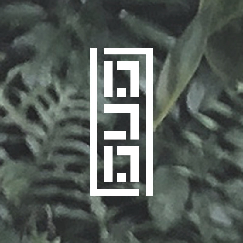 broken raptures. | rokoro