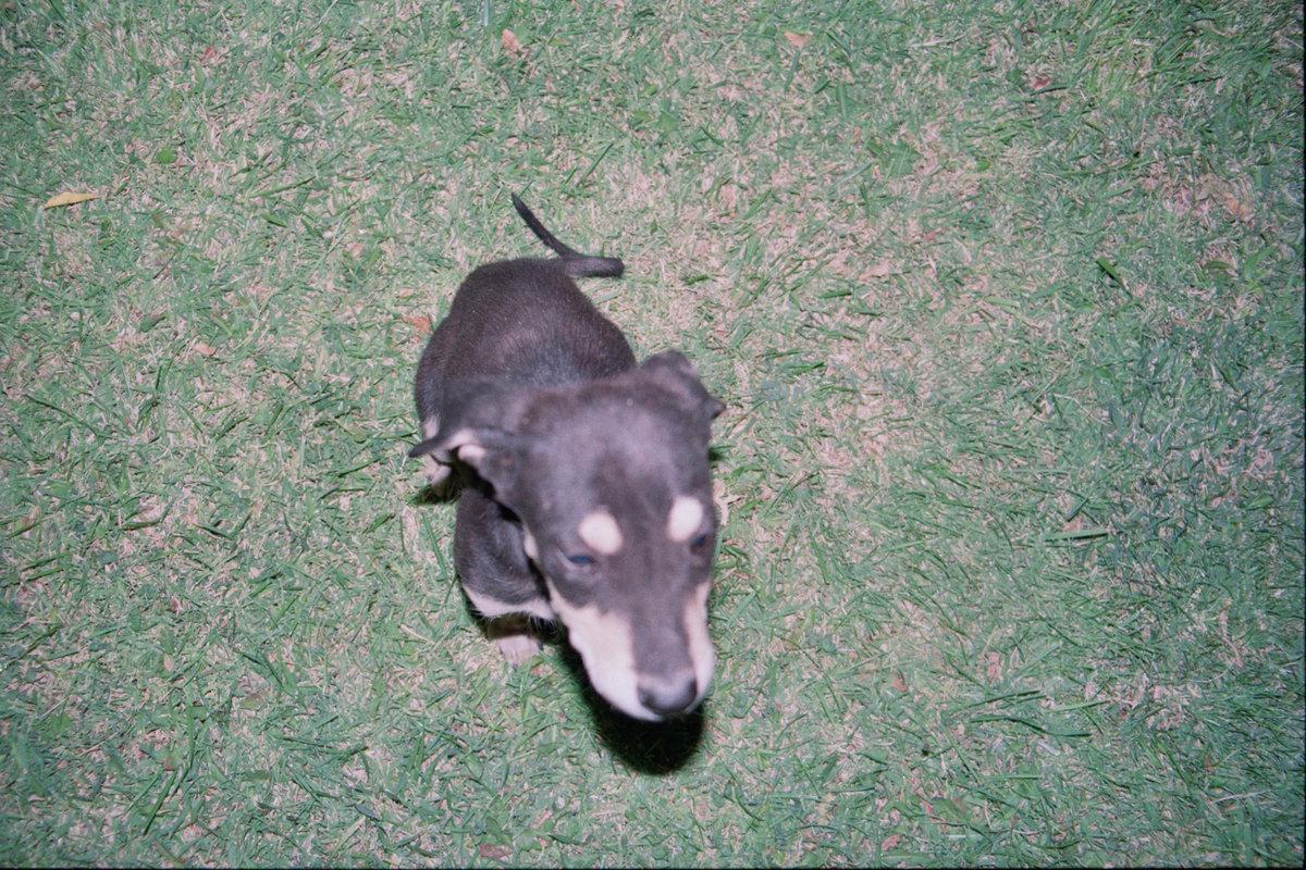 inmadurx | Te kiero | tekiero