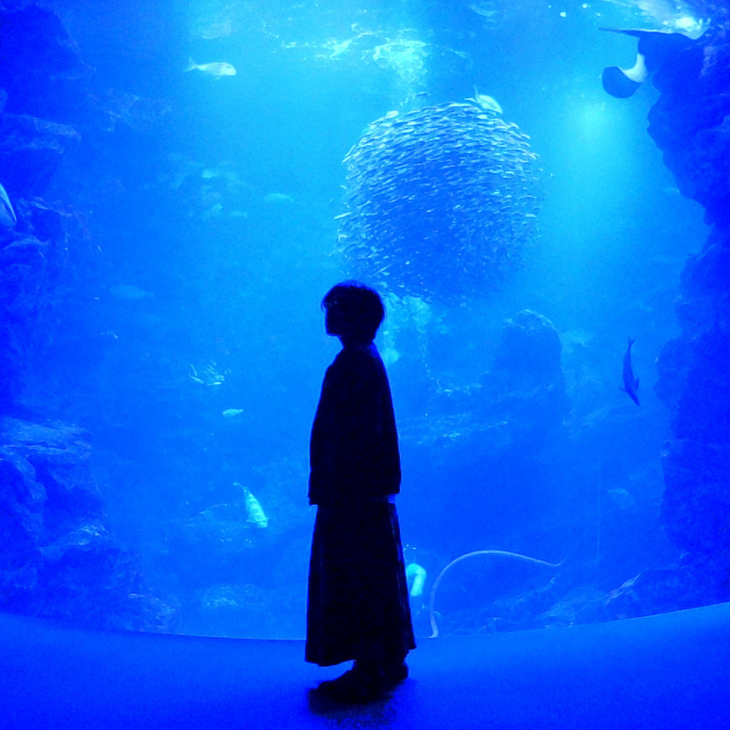 Floating_Pool's collection | Bandcamp