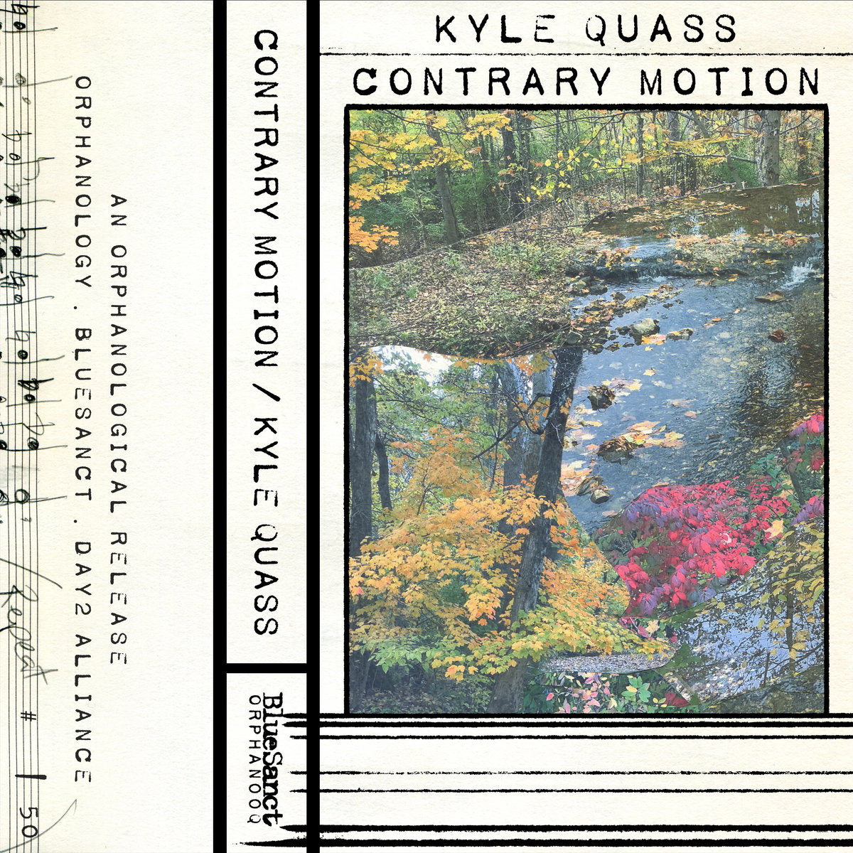 Contrary Motion | Kyle Quass | Bluesanct
