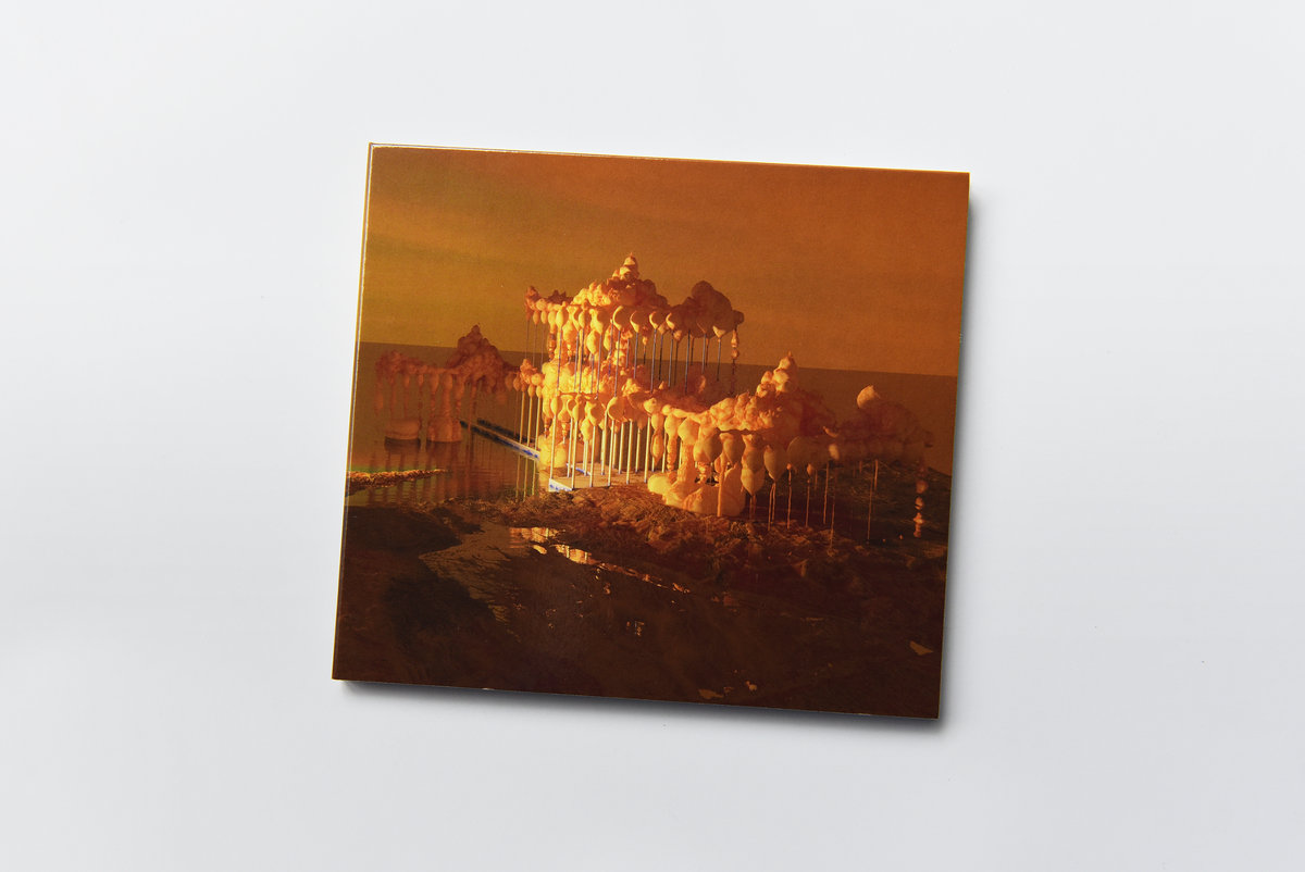 Labyrinthine Hydrops Revisited | Duy Gebord