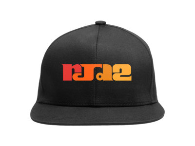 Color Blocked Logo Snapback | RJD2