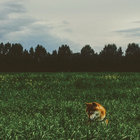 Recursion Constructors | Richard Devine