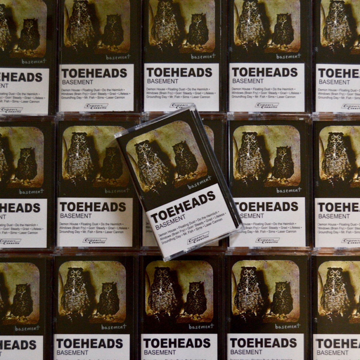 Mr. Fish (Single) | Toeheads | Remove Records