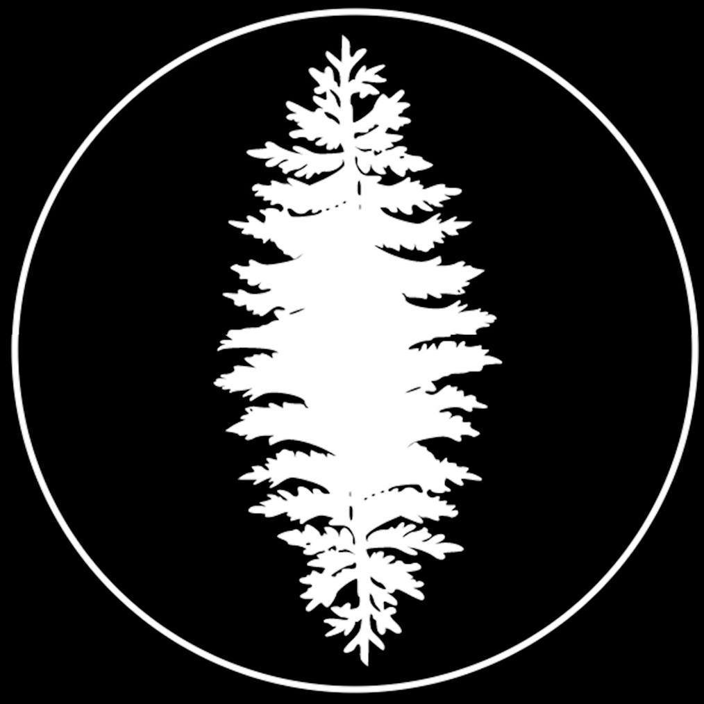 Timber Ghost | Timber Ghost