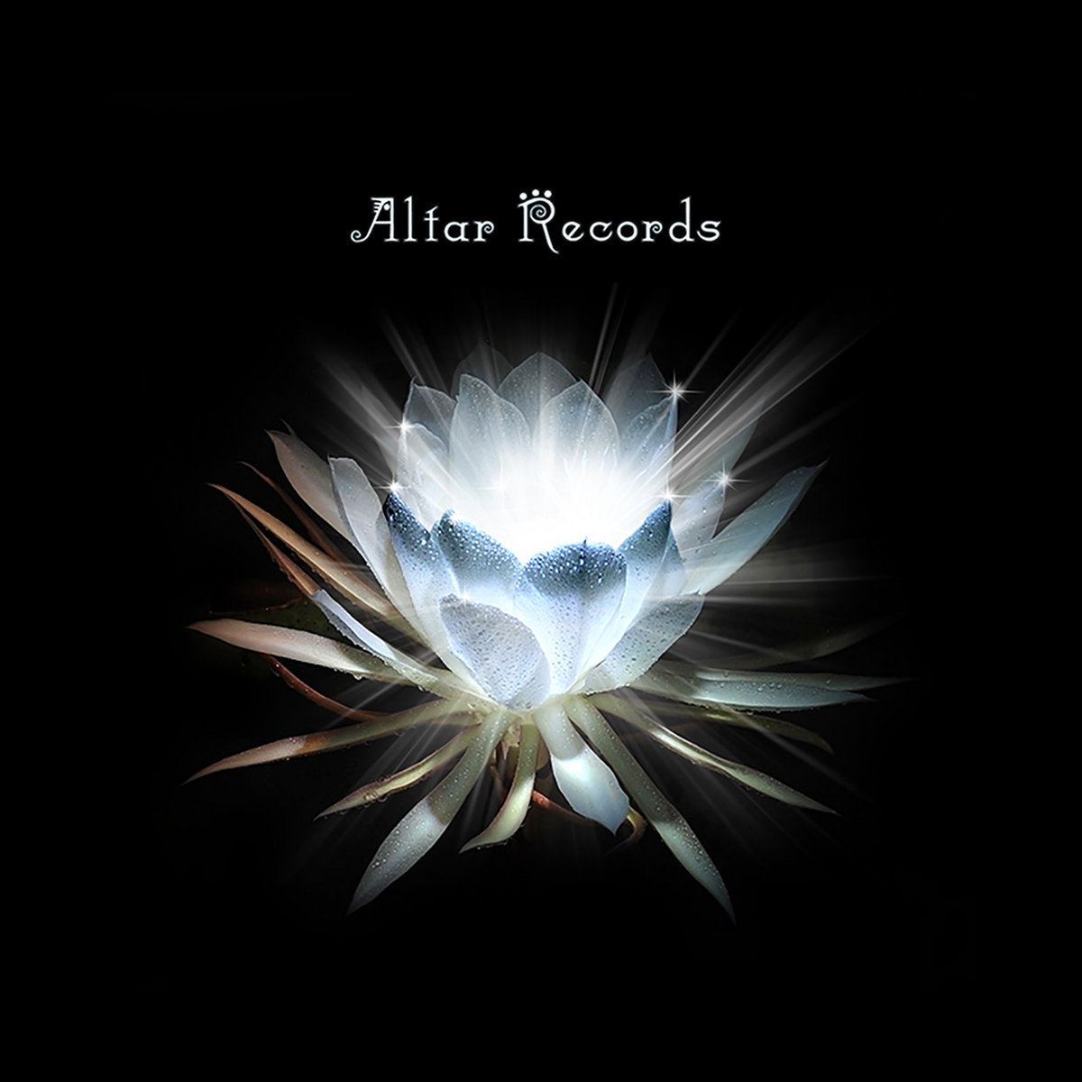 The Believer (feat. Prah-ladji) (remastered) | Astral Waves | Altar ...