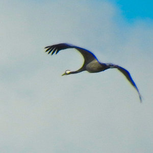 Music | The Holy Club