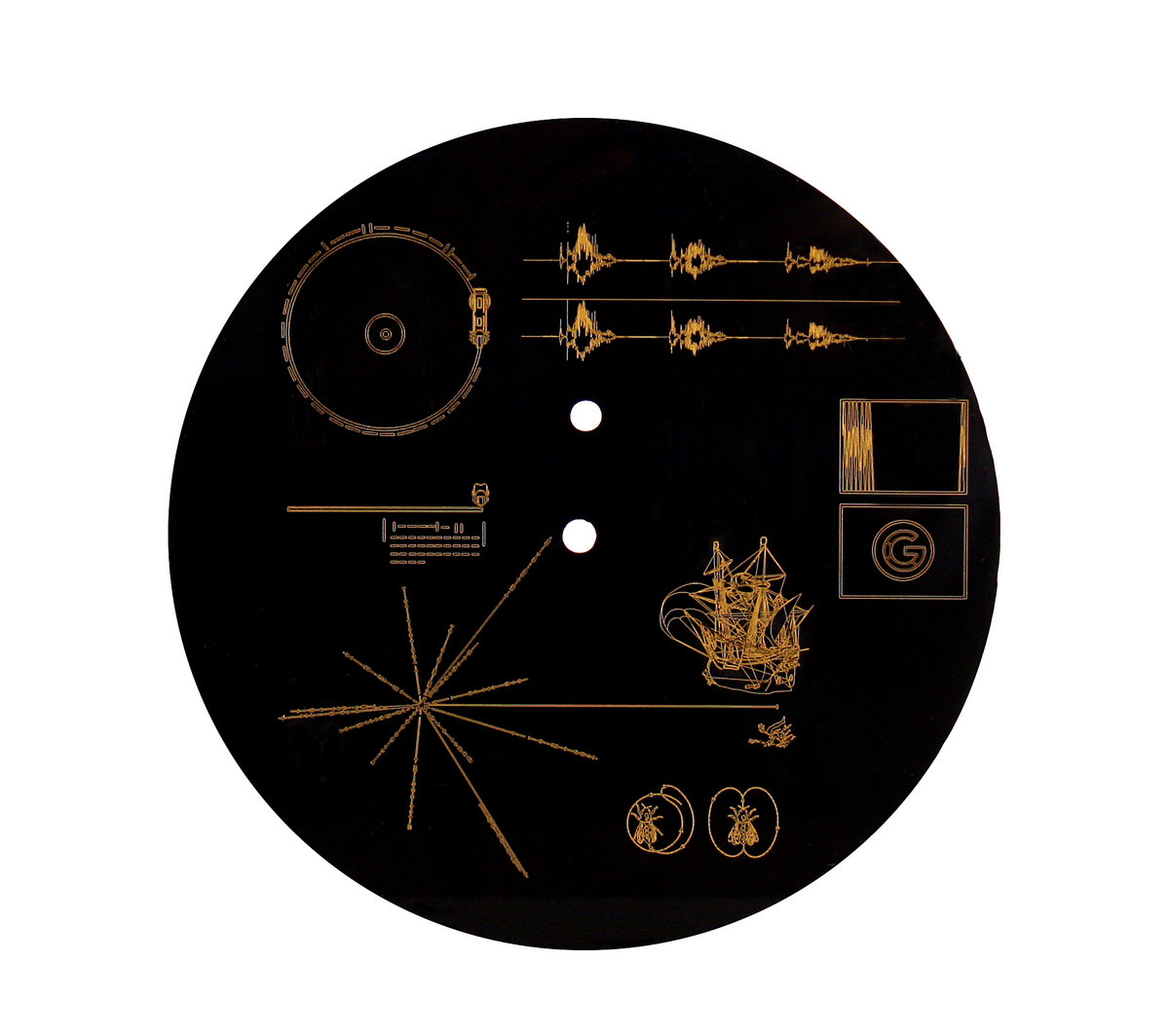 V/A001 | Ian Hatcher: "Colony" for E.S.P. TV "Lifestyle Guru | Ian ...