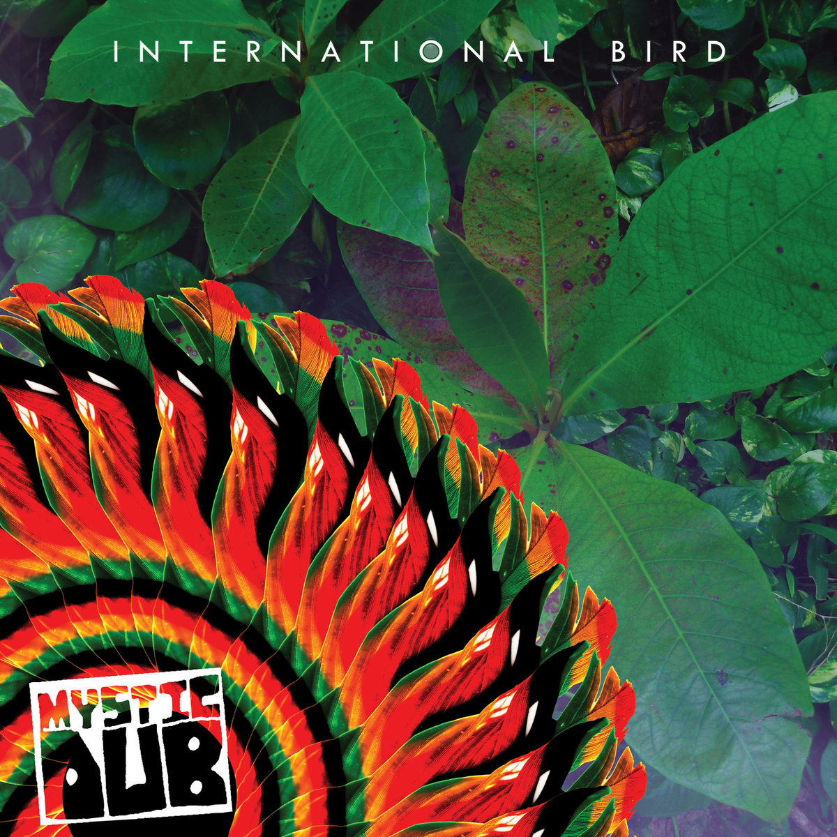 International Bird | Mystic Dub