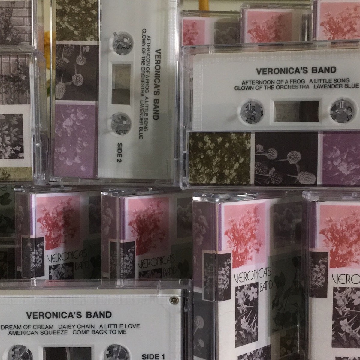 Veronica's Band | Veronica's Band