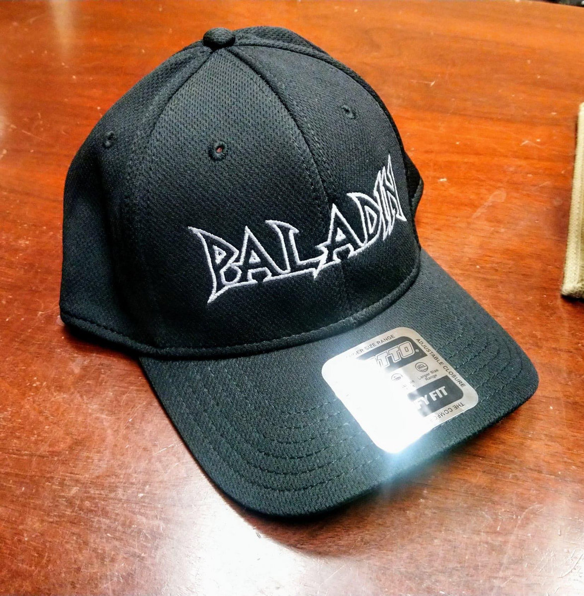 Paladin Logo Baseball Hat | Paladin
