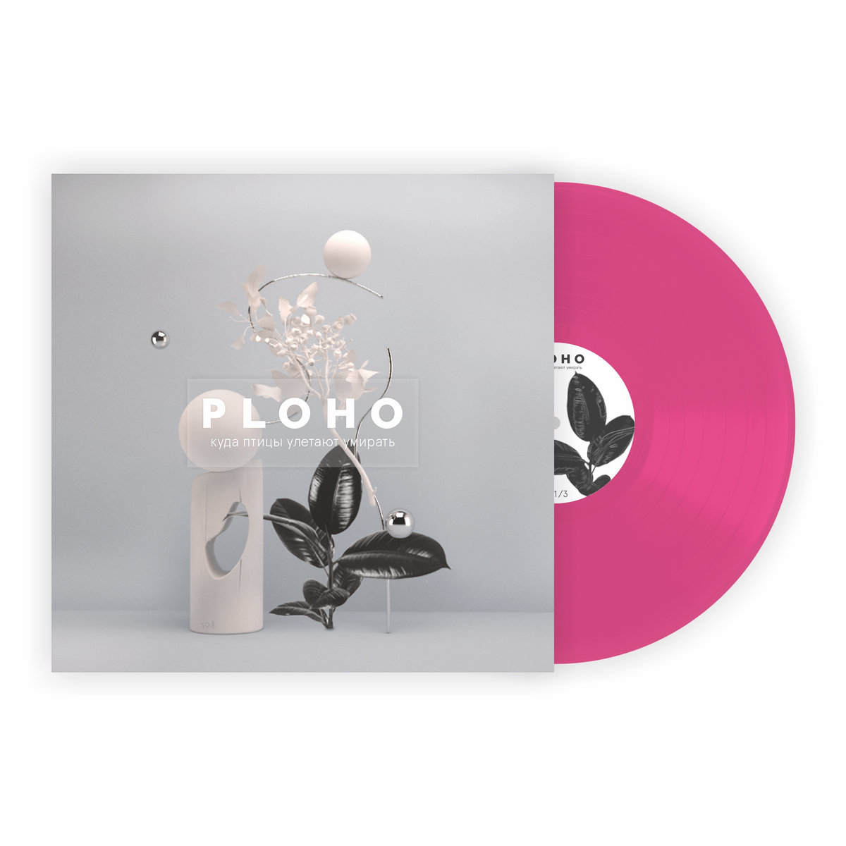 Куда птицы улетают умирать | Ploho