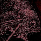 Stronghold | Summoning