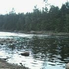 From The Challenger Abyss | Untides | Violence In The Veins