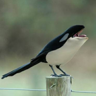 evan_burman's collection | Bandcamp