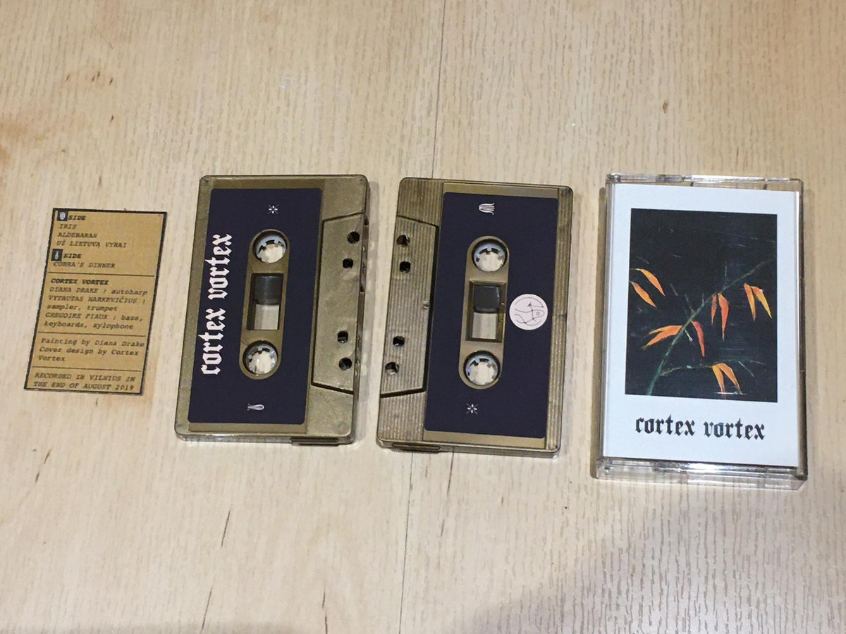 Cortex Vortex | Cortex Vortex | Mais Para Baixo