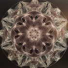 An Analog Guy in a Digital World | Martin Roth