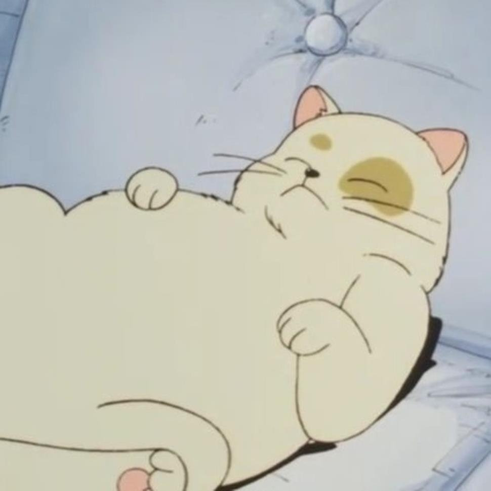 Better Late Than Never | Puar