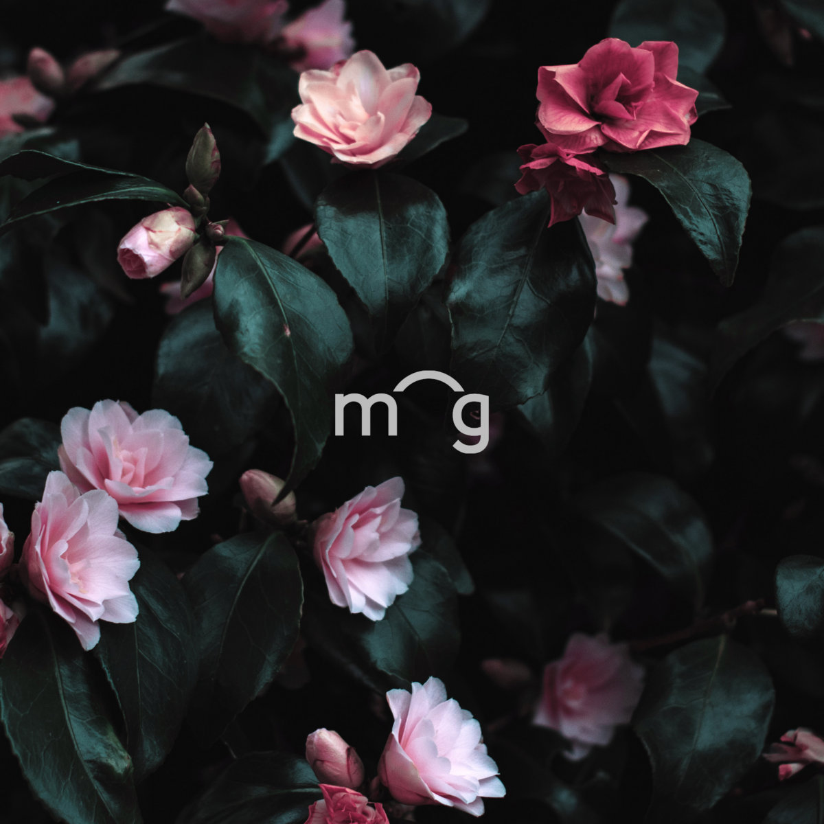 He Comes From A Good Family (Original Soundtrack) | Marc G