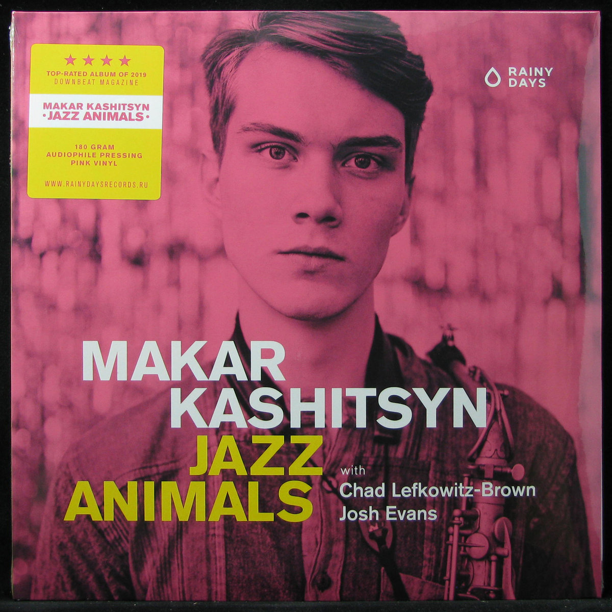 Jazz Animals | Makar Kashitsyn | Rainy Days