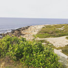 FREE LUTANGU | Bonaventure | PTP