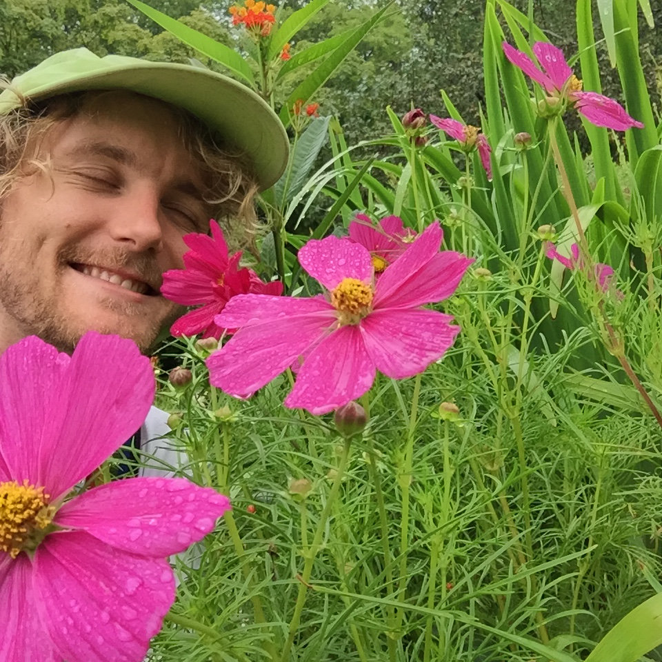 Cosmic Love Phone/Animus | Will Durkee | Willy D