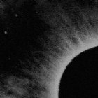 Fits Of Reason | Brown Bird