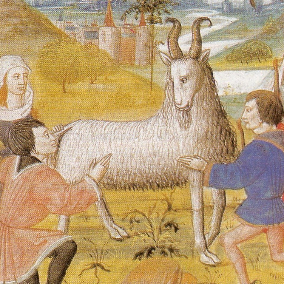 scuttlegoat's collection | Bandcamp