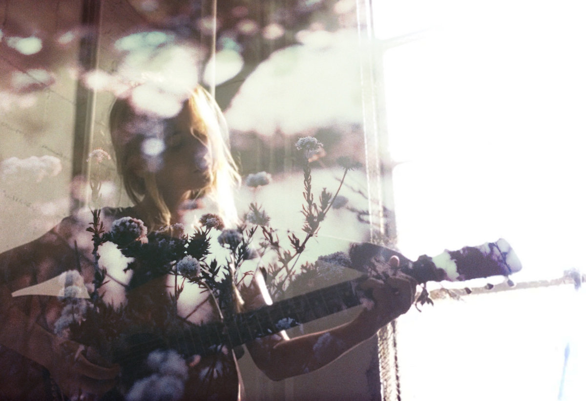 Collies | Tennessee Kamanski