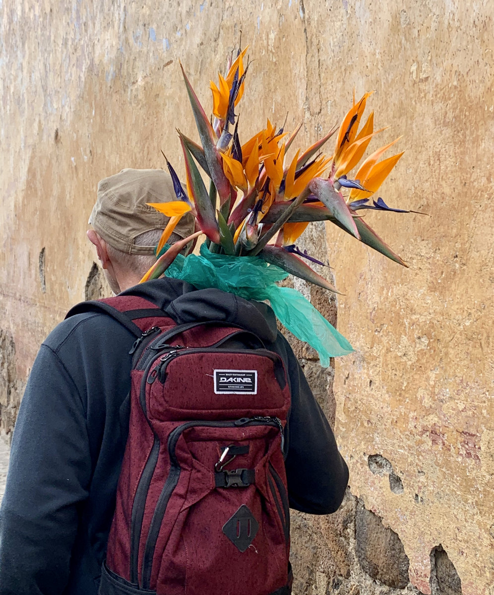 5 Buddhas Full Moon | Kim Merlino (Teo)