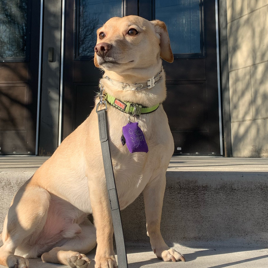 kevinschuetz's collection | Bandcamp