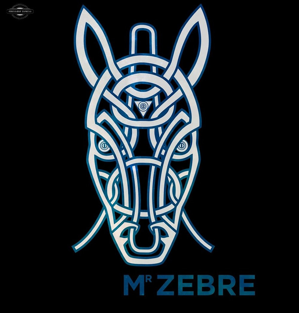 Lessons & reasonings | Mr Zebre