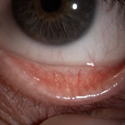 First Reformed | Lustmord