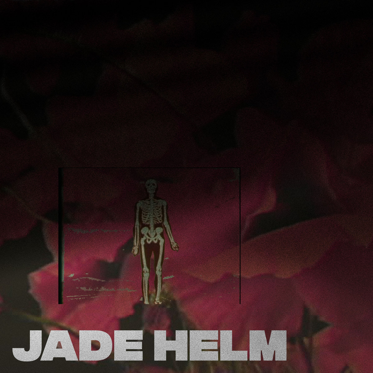 Mourning Dove | Jade Helm