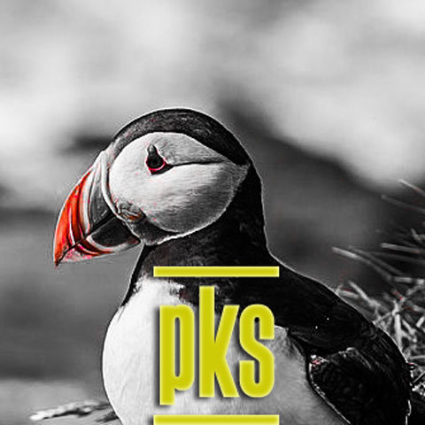 Music | Puffin Kingdom Sounds
