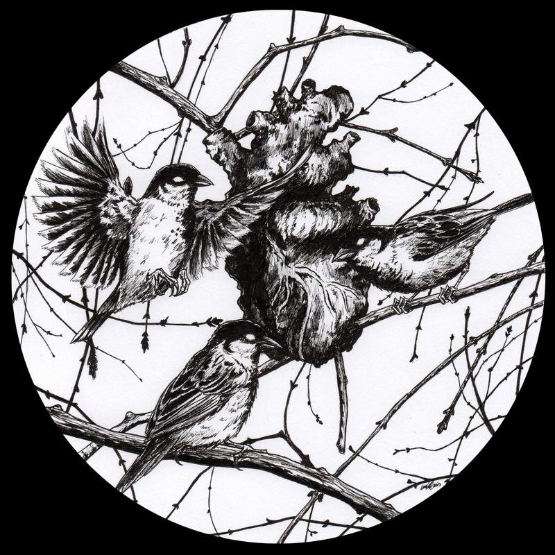 Thy Shadow | Beautiful Death