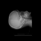 First Reformed | Lustmord