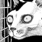 The New 4lung Album | 4lung | RAWRDCORE RECORDS