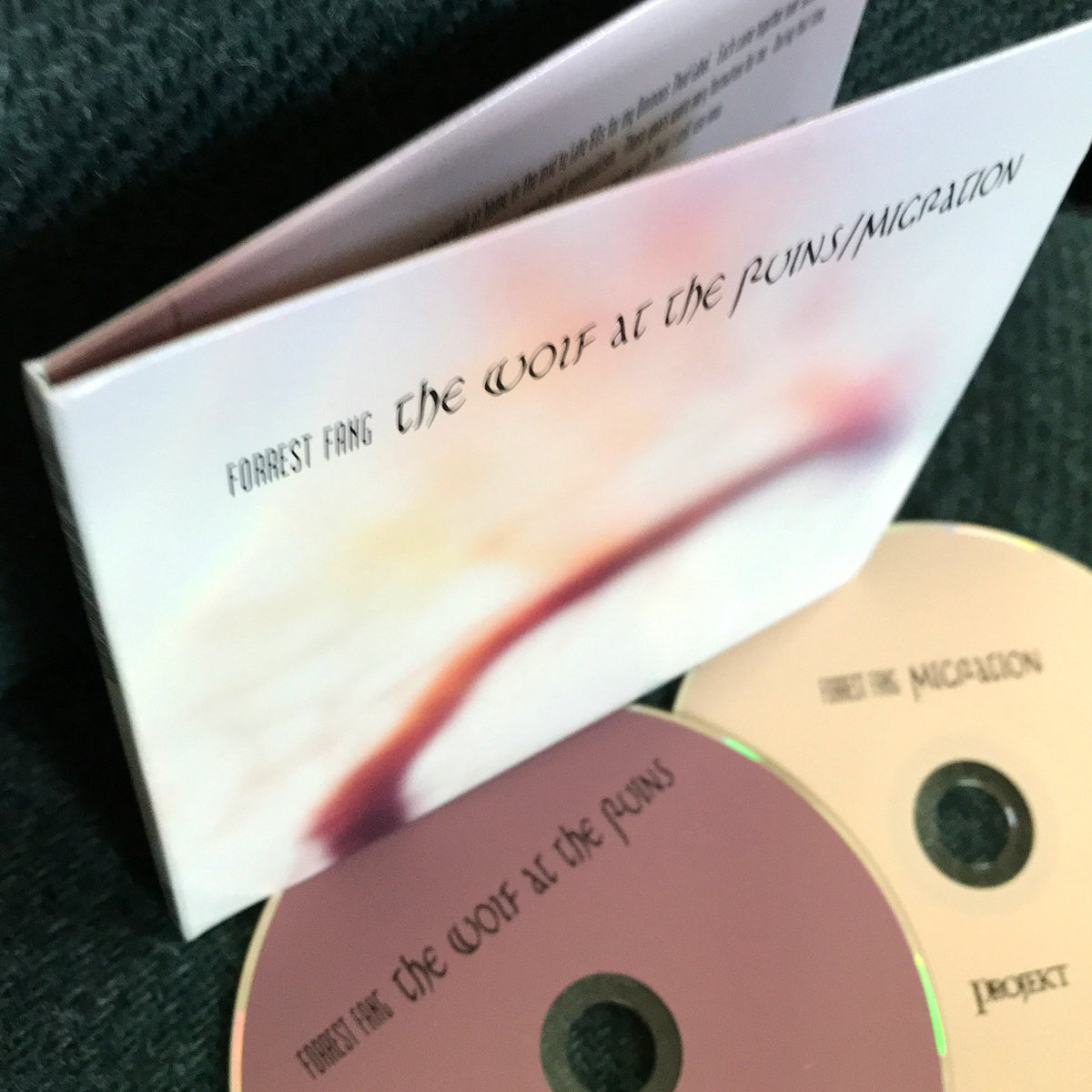 The Wolf At The Ruins / Migration (reissue) | Forrest Fang | Projekt ...