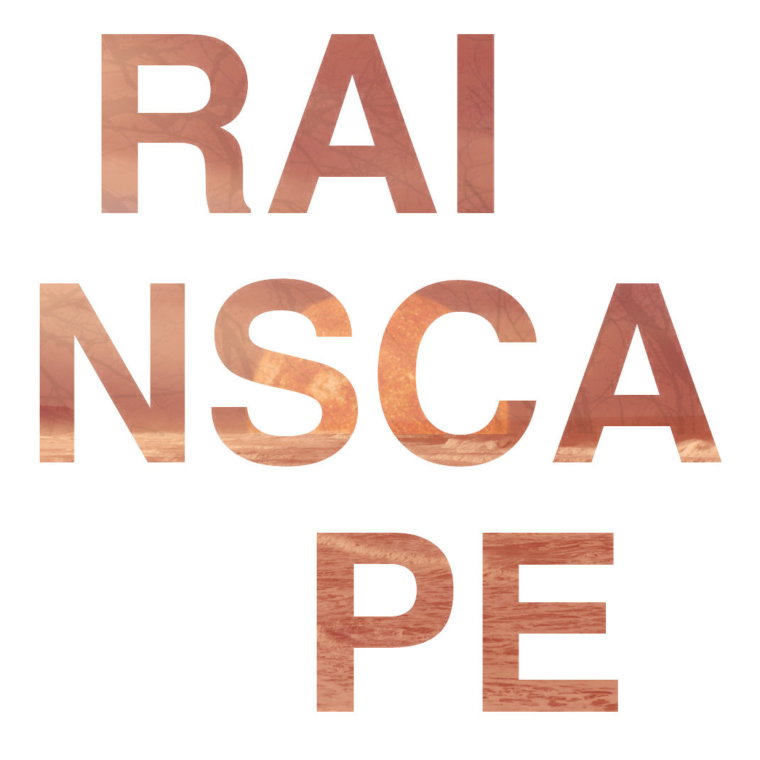 RAINSCAPE | Rainscape
