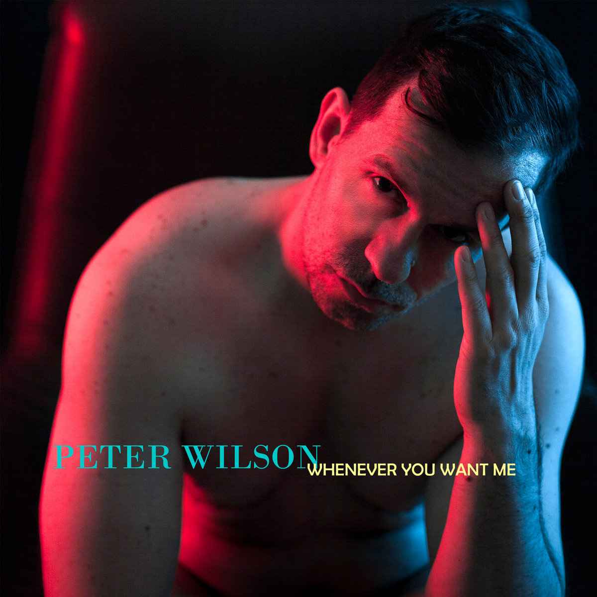 Whenever You Want Me | Peter Wilson | Energise Records