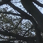 This Fragile Workforce | Portland Vows