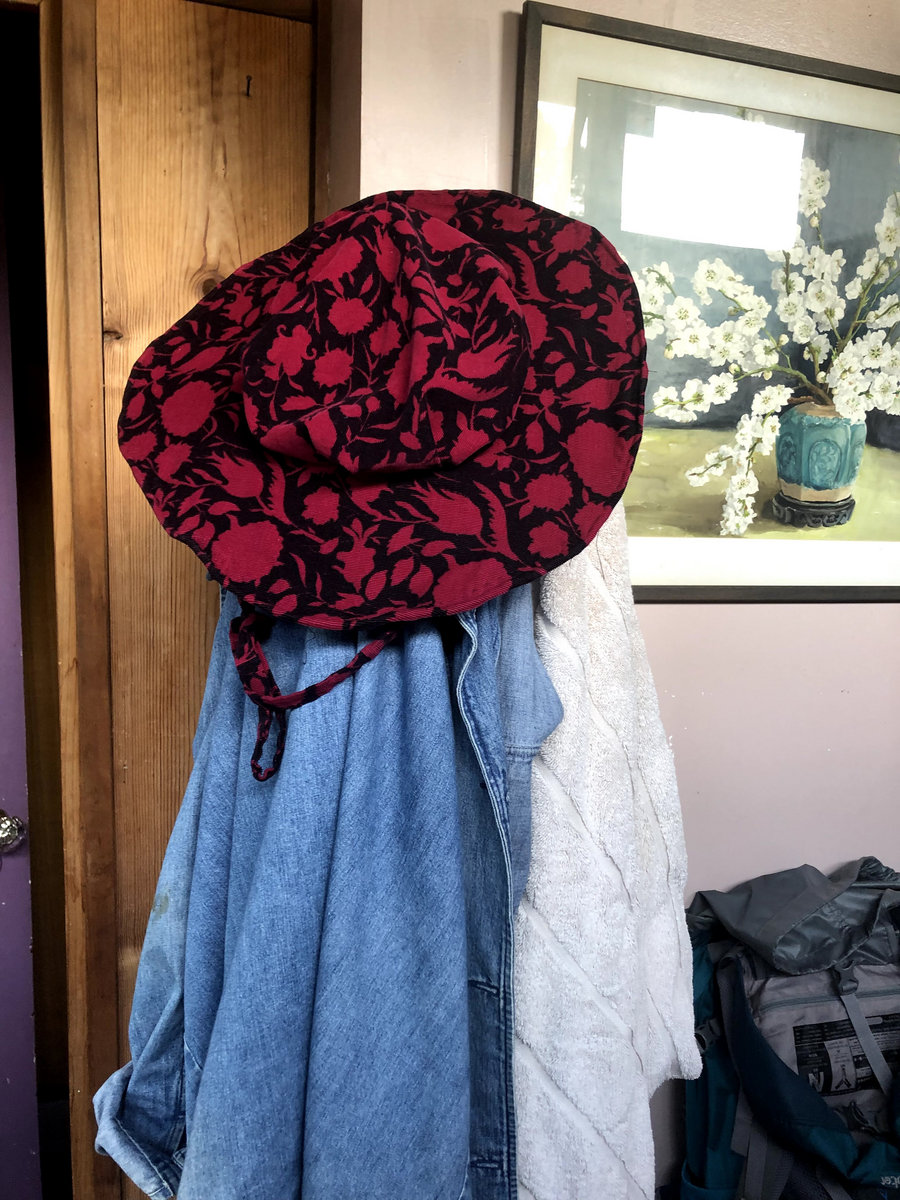 song bird thoughts | Hannah Rust